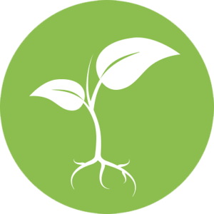 Roots of Hope - Here 4 Hope